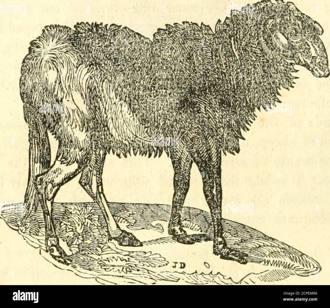 . A System of natural history : containing scientifci [sic] and popular ...