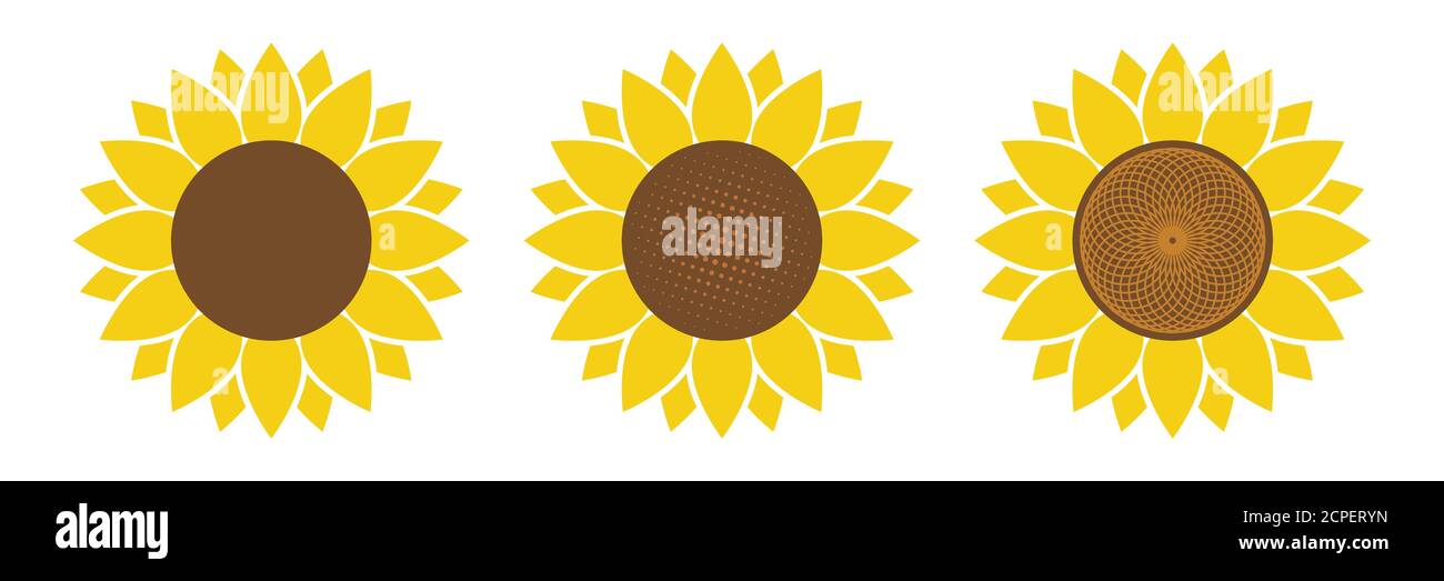 Sunflower in flat style vector isolated Stock Vector Image & Art - Alamy
