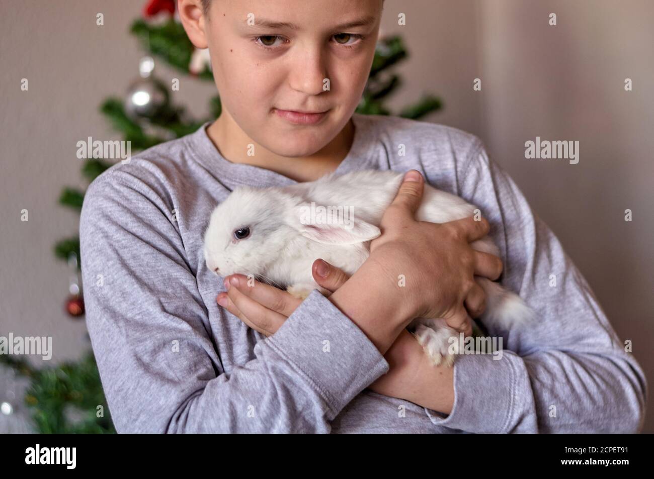 a boy with a white rabbit in his hands Stock Photo - Alamy