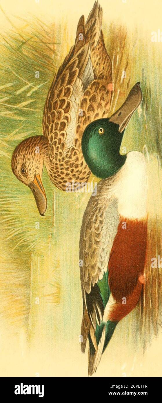 H m s vidal hi-res stock photography and images - Alamy