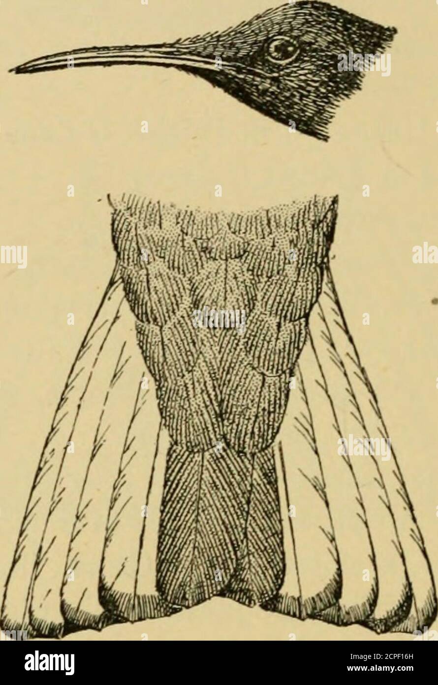 224 years old hi-res stock photography and images - Alamy