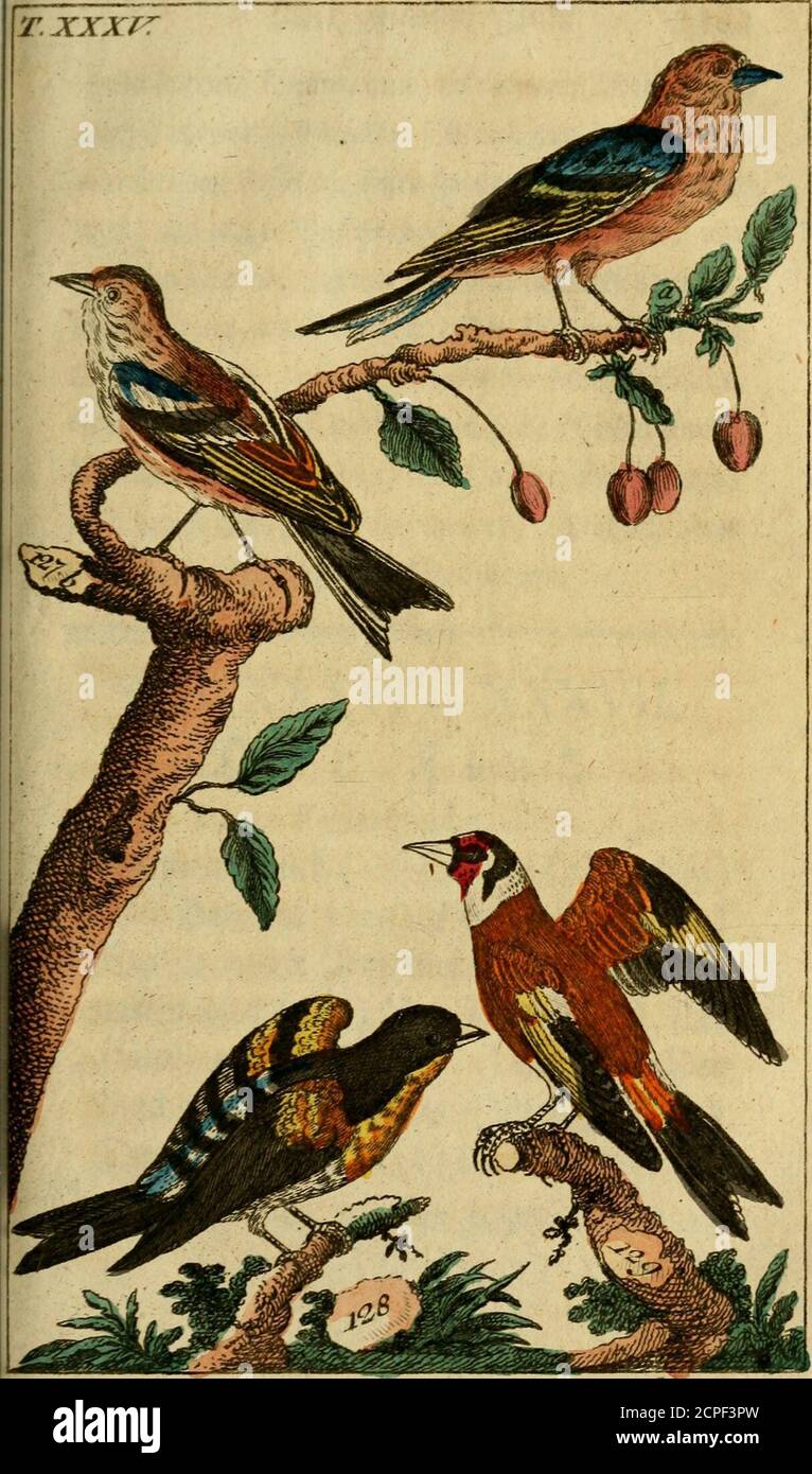 Bpf hi-res stock photography and images - Alamy