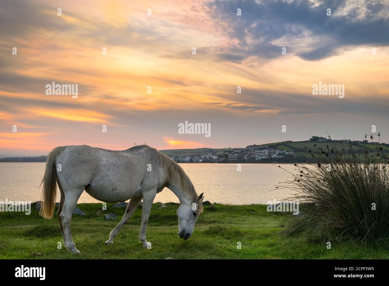 North devons biosphere hi-res stock photography and images - Alamy