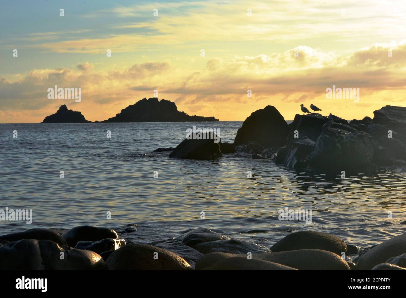 Two seagulls on rock with The Brisons rocks on the horizon just before ...