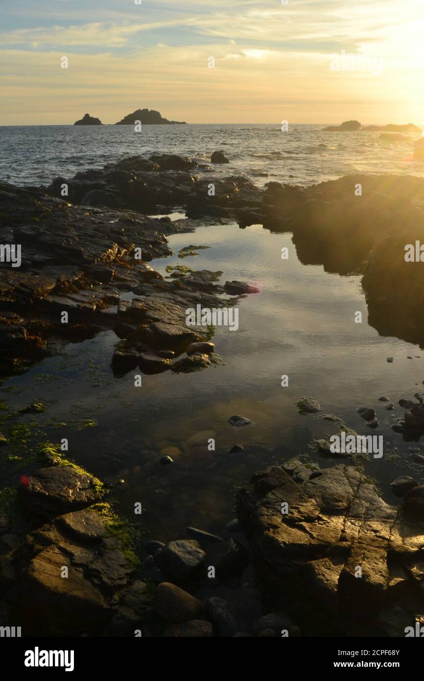Rock Pool Cornwall High Resolution Stock Photography and Images - Alamy