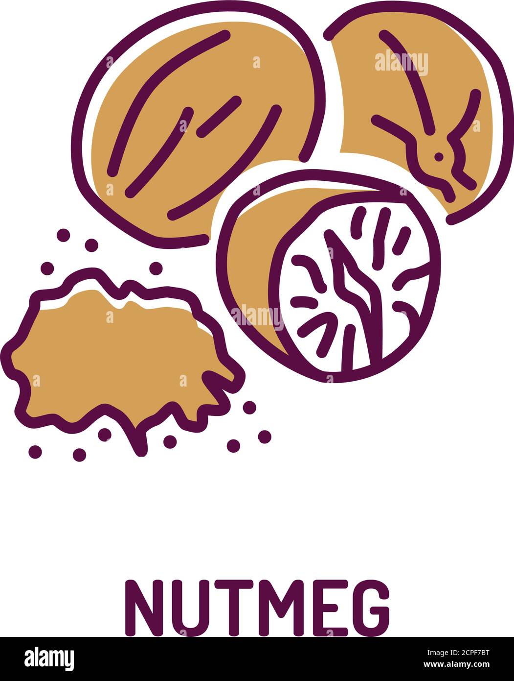 Whole and ground fragrant nutmeg with caption color line icon. Spices ...