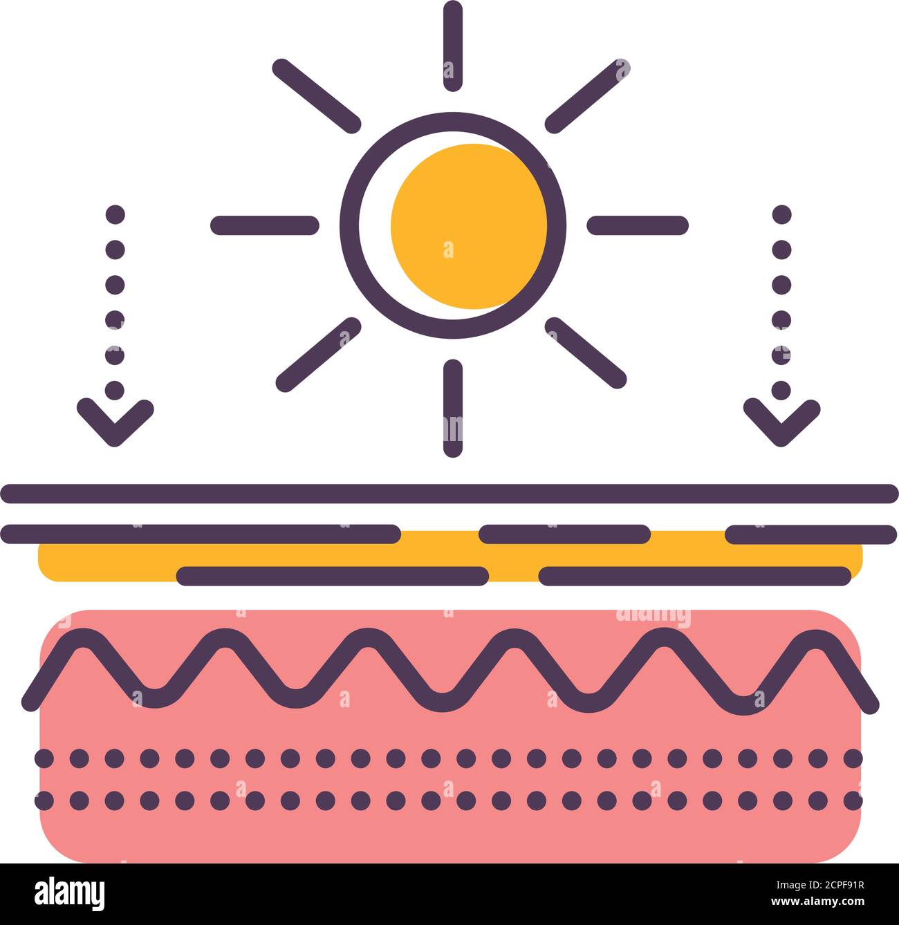 Layers of skin drawing hi-res stock photography and images - Alamy