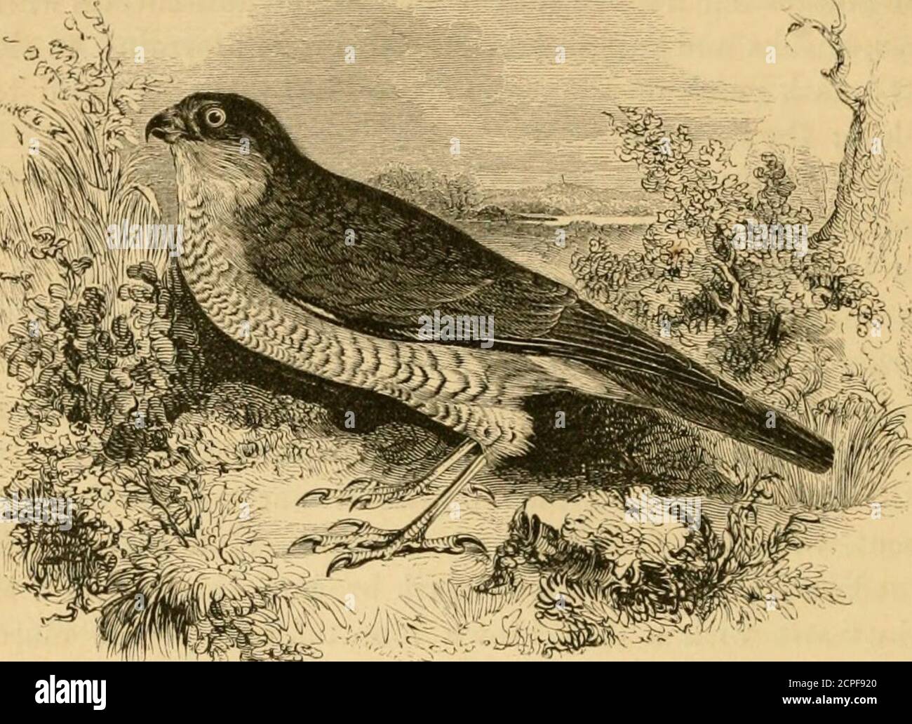 Three transverse bars hi-res stock photography and images - Alamy