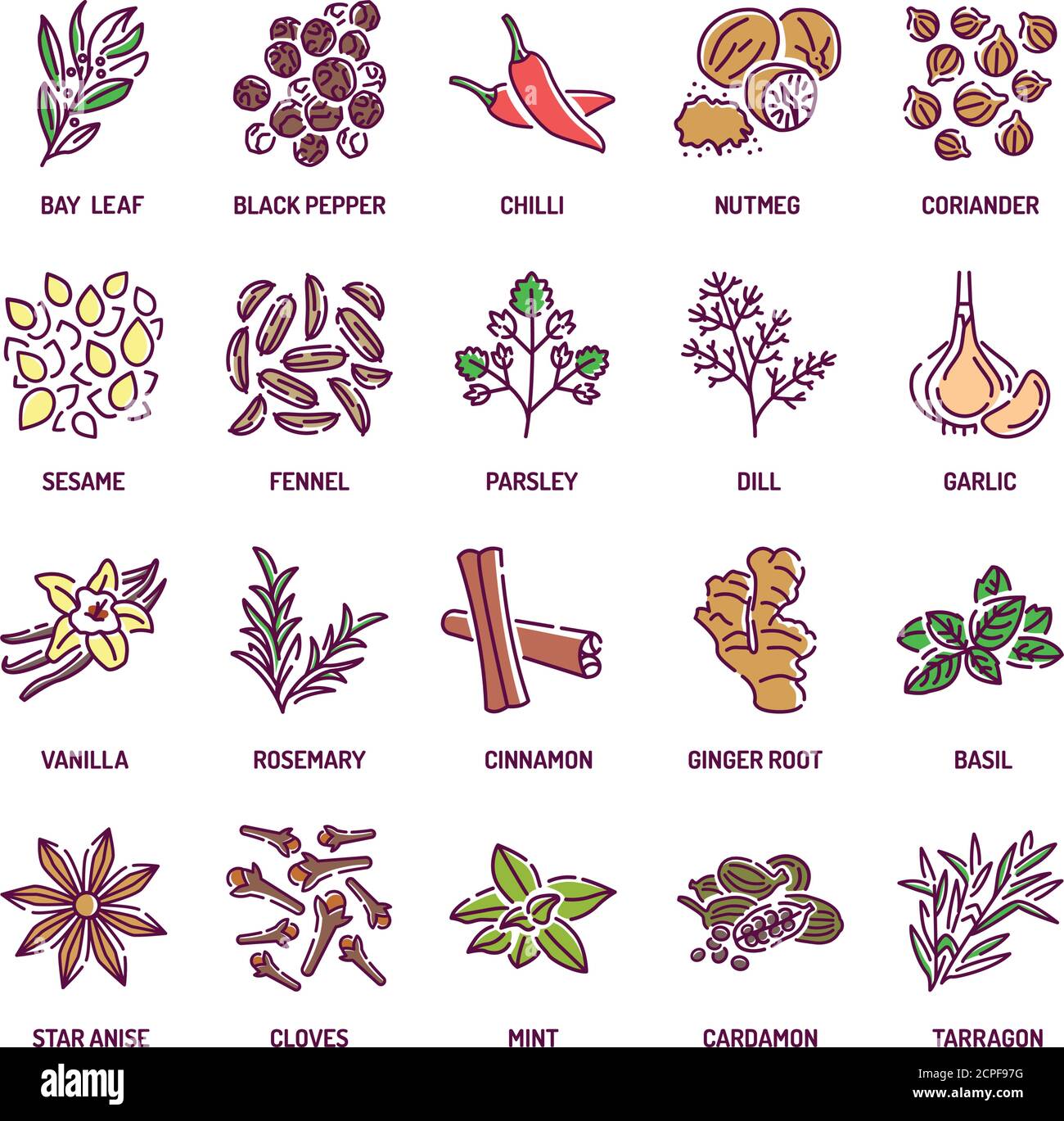 Herbs Drawing Easy For Kids With Colour