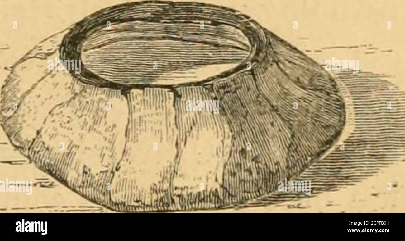 . A history of British birds . 20 ACC/PITEES. FALCONID.E. FALCON IDjE ...