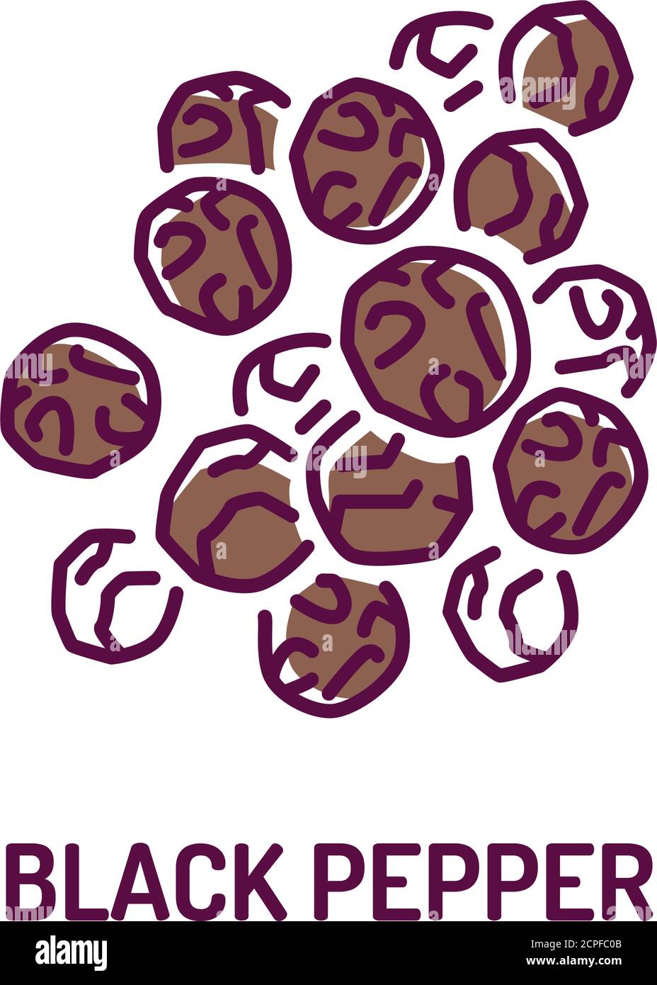 Black peppercorns plant Stock Vector Images - Alamy