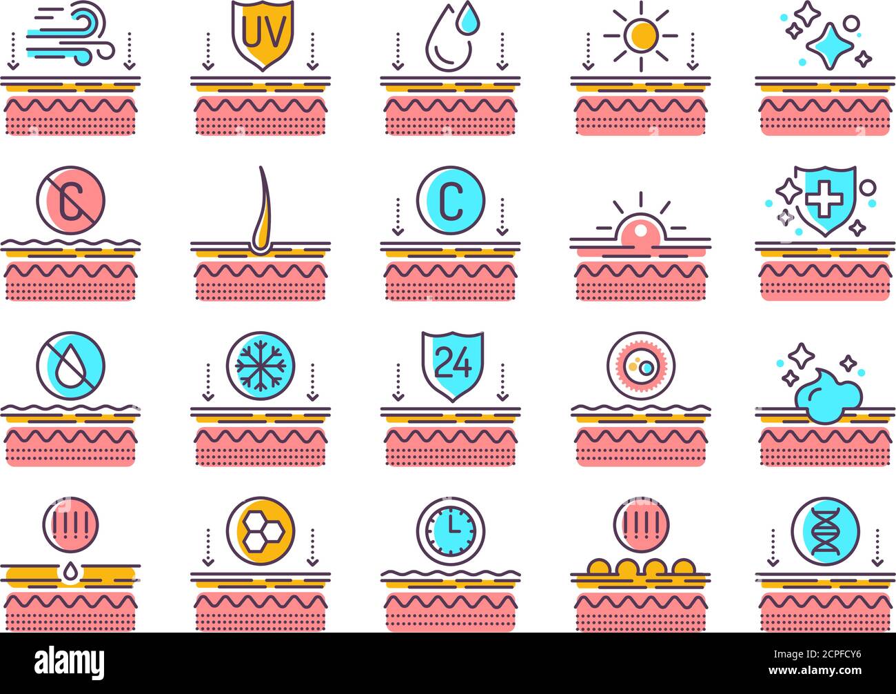 Exposure to skin external factors, aging, care, genetics line color ...