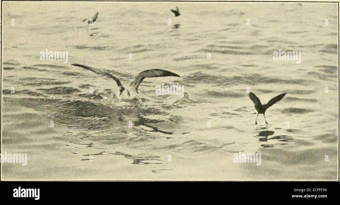 Neer fishing hi-res stock photography and images - Alamy