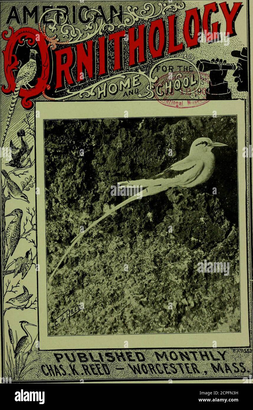 . American ornithology for the home and school . every school ...