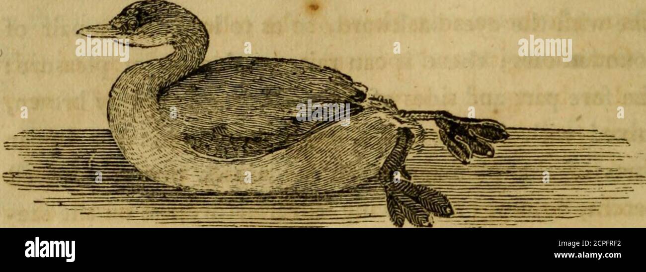 Flatat hi-res stock photography and images - Alamy