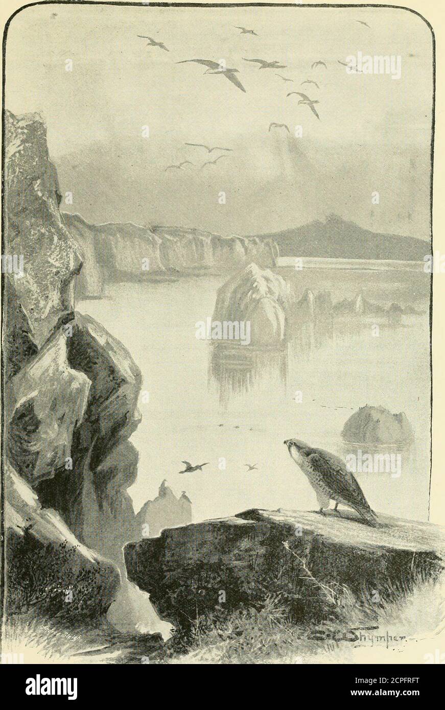 Clown lik hi-res stock photography and images - Alamy