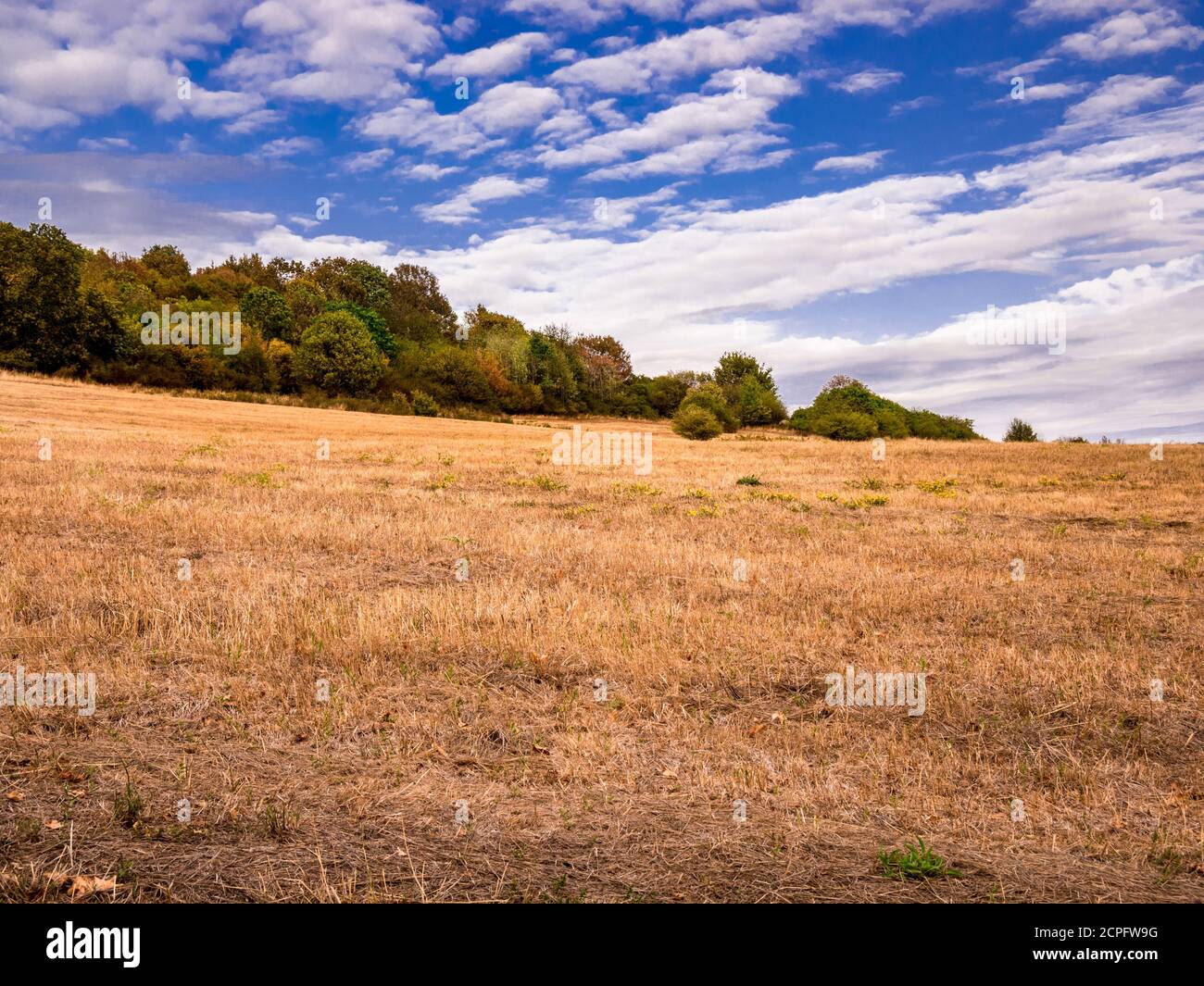 Dry meadow due to water scarcity in Central Europe - climate change ...
