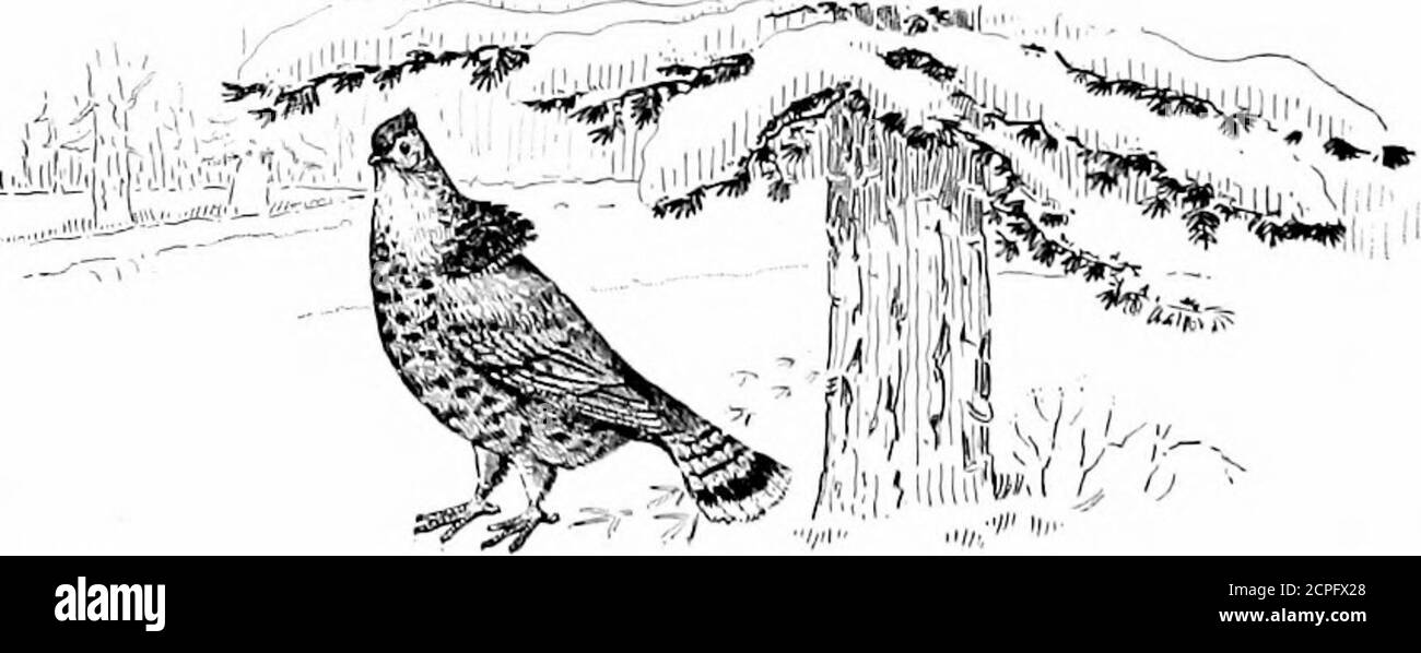 Freezing powers hi-res stock photography and images - Alamy