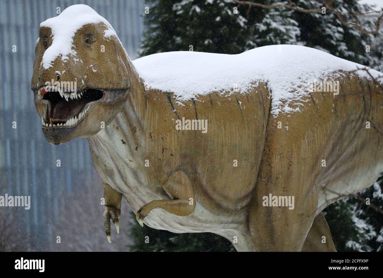 Dinosaur In Snow High Resolution Stock Photography and Images - Alamy