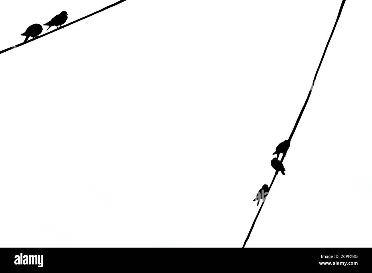 Power line in wild Cut Out Stock Images & Pictures - Alamy