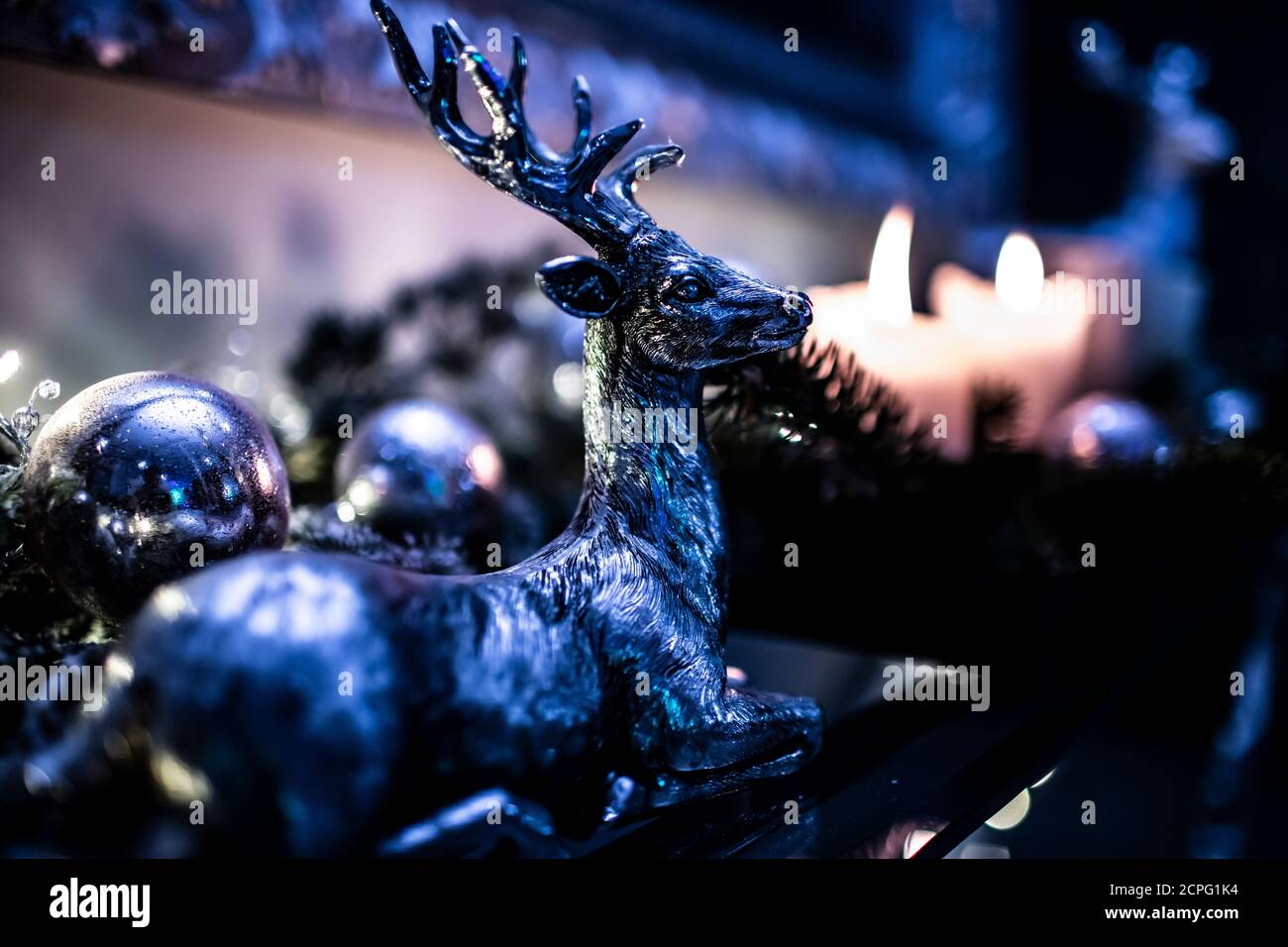 Renifer hi-res stock photography and images - Alamy