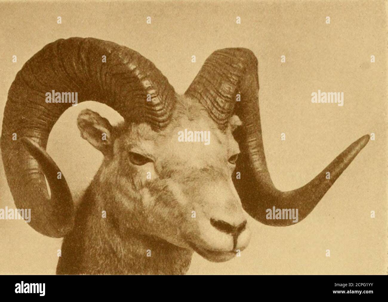 David glyn hi-res stock photography and images - Alamy