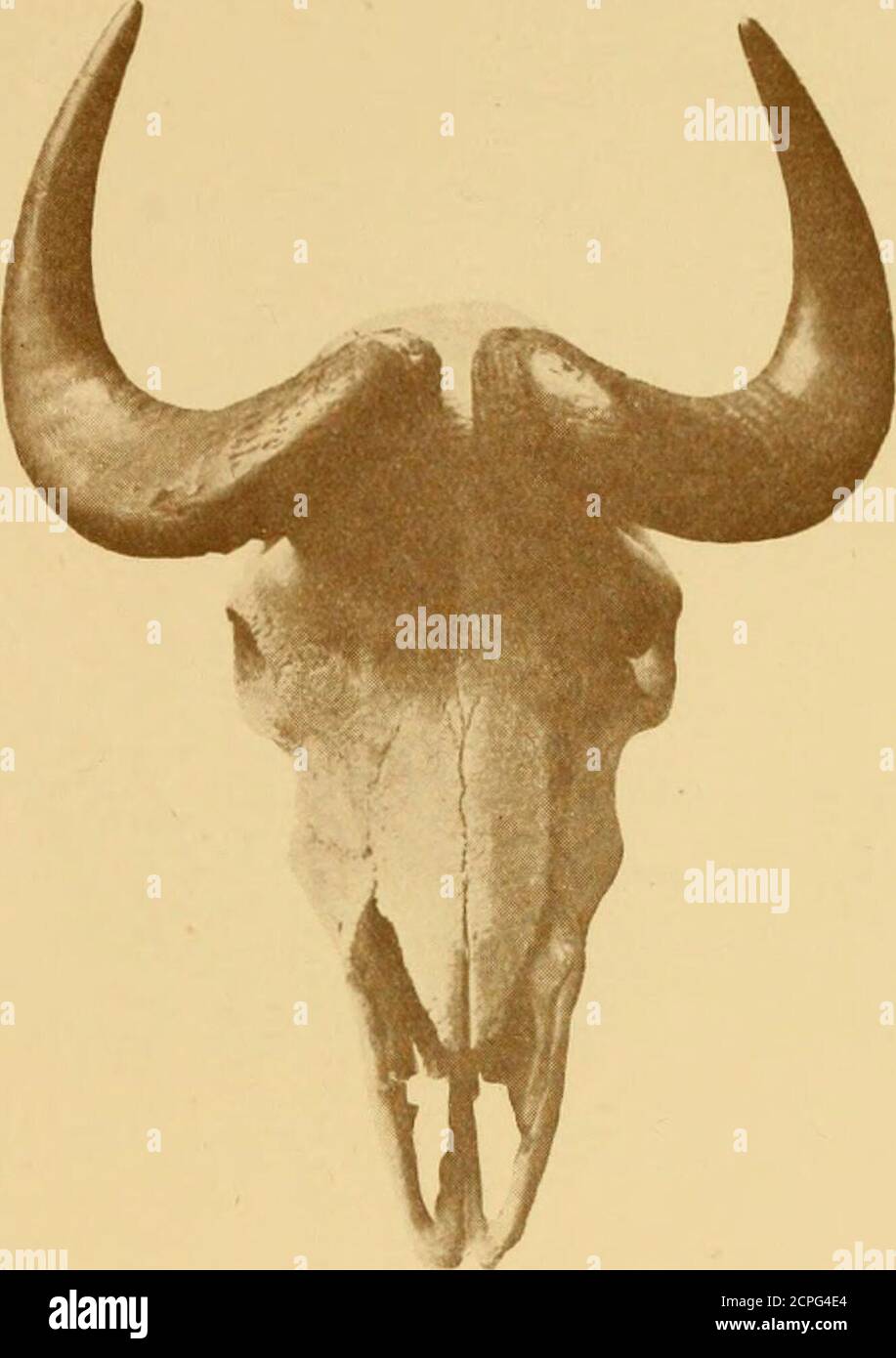 Bent convex upwards hi-res stock photography and images - Alamy