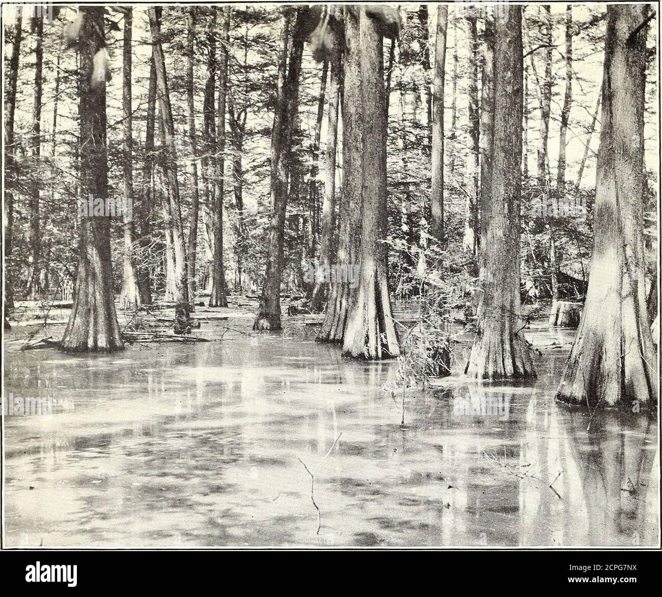 Turrell arkansas hi-res stock photography and images - Alamy