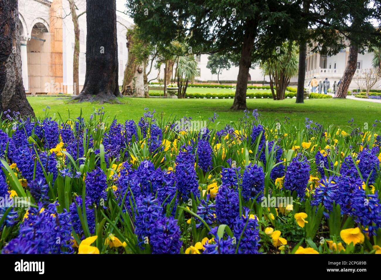 Turkey, Istanbul, Topkapi Palace, garden Stock Photo - Alamy
