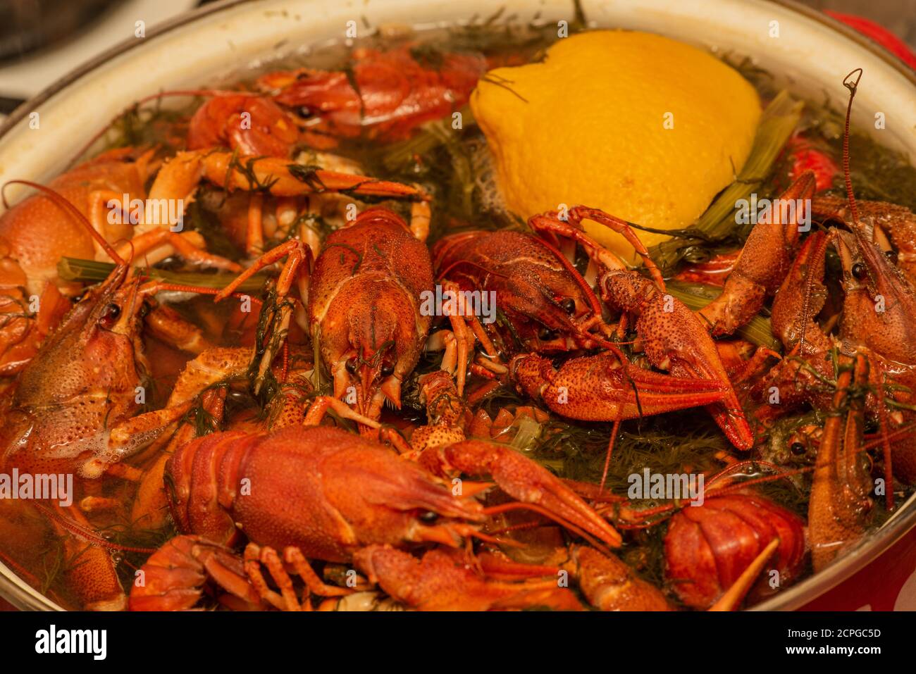 Cooking freshwater crayfish in a pan. Crayfish boil in boiling water ...