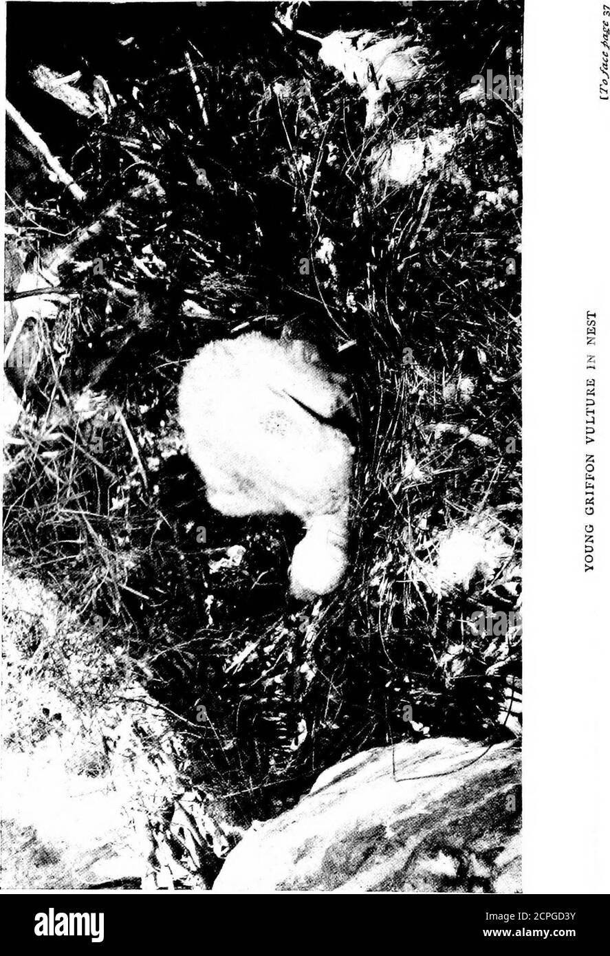 Not posed Cut Out Stock Images & Pictures - Alamy