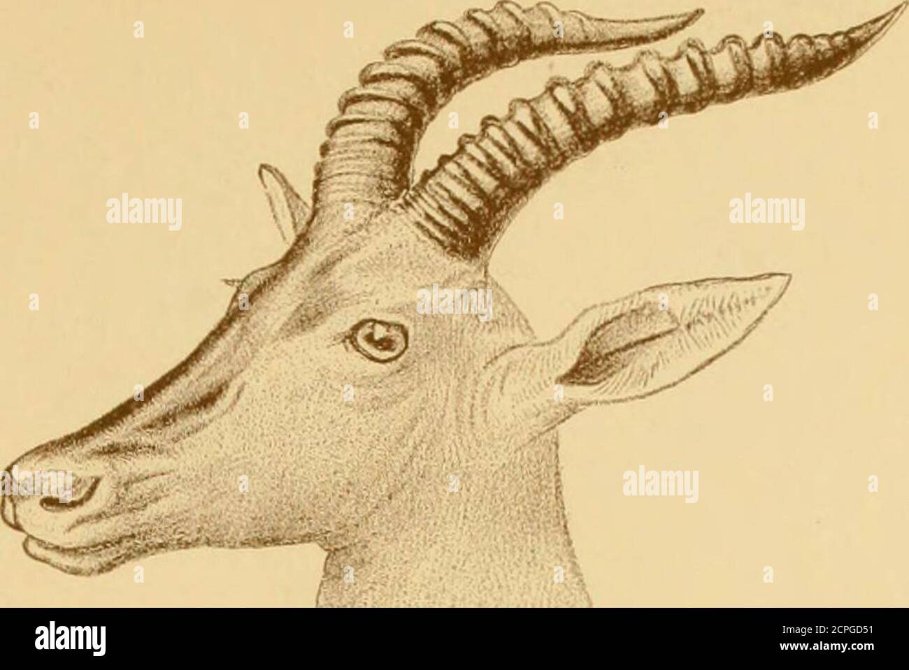 Slant directed hi-res stock photography and images - Alamy