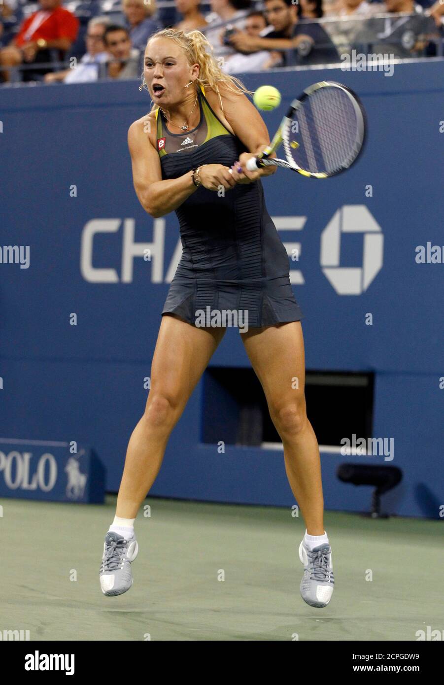 Number One Seed High Resolution Stock Photography and Images - Alamy