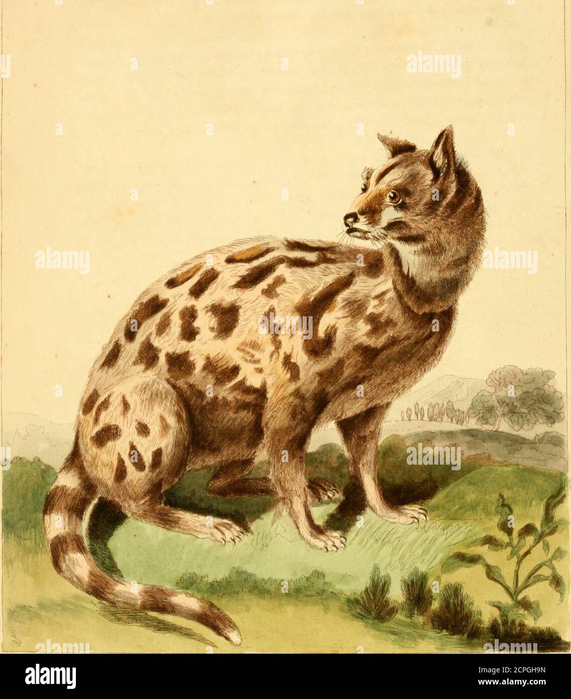 Nudas hi-res stock photography and images - Alamy