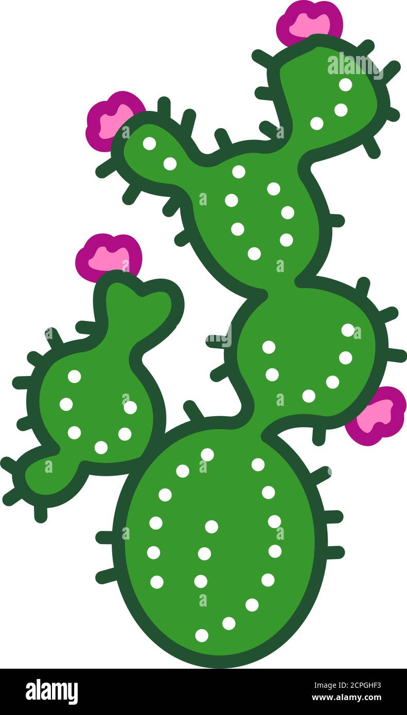 Desert blooms arizona Stock Vector Images - Alamy