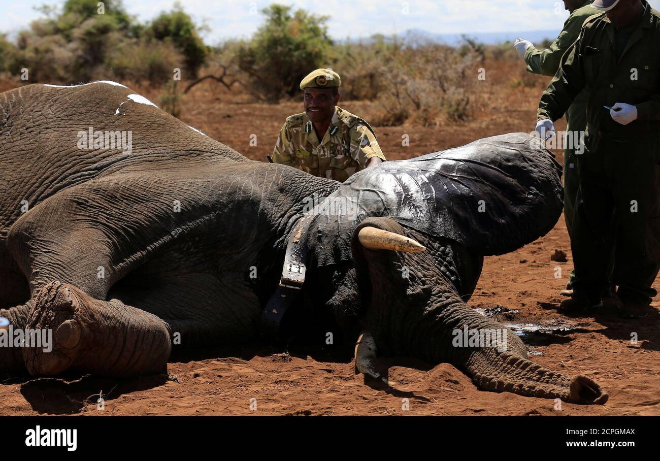 Africa human elephant conflict hi-res stock photography and images - Alamy