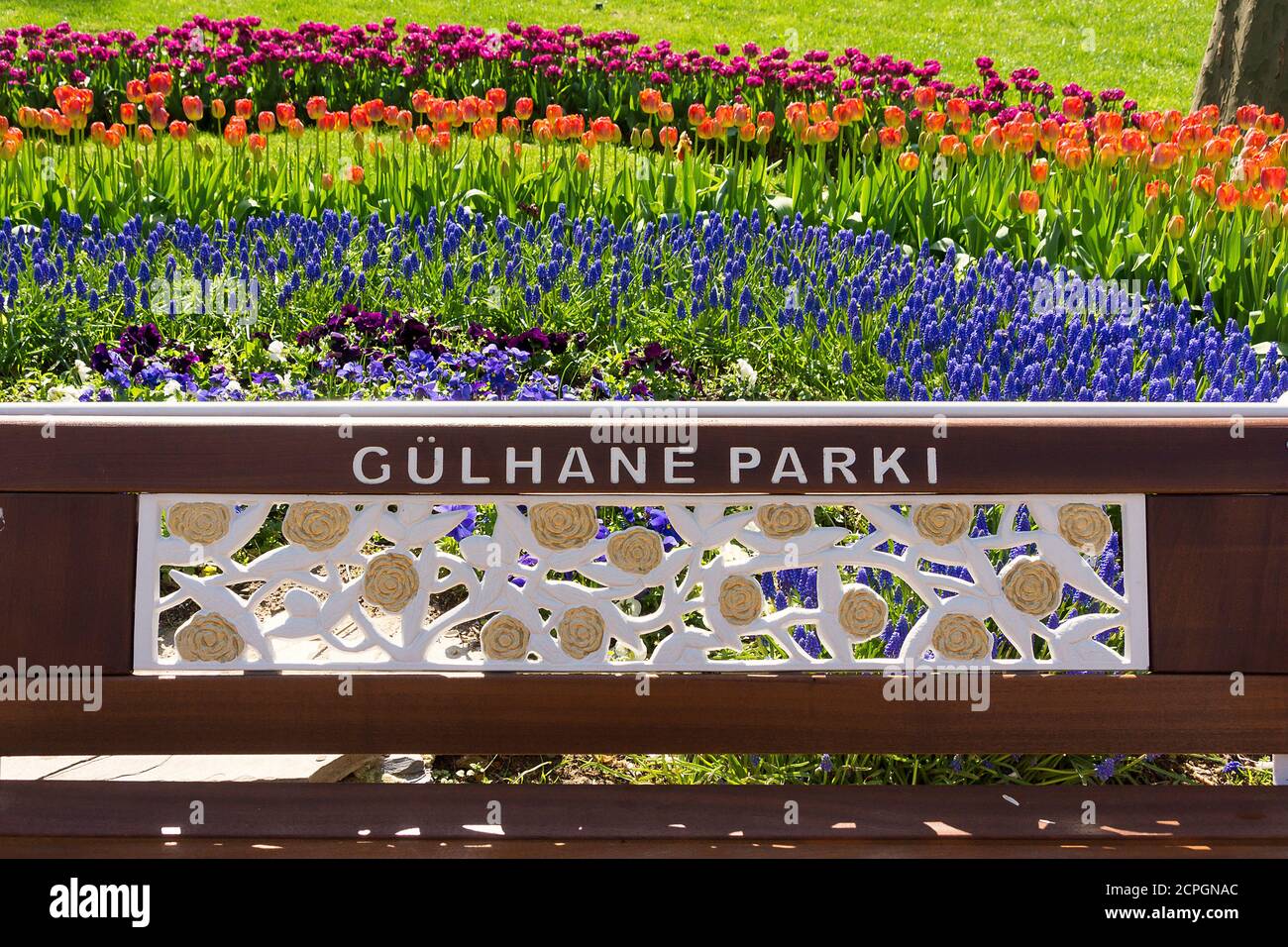 Turkey, Istanbul, Gülhane Park, Tulip Festival, bench Stock Photo - Alamy