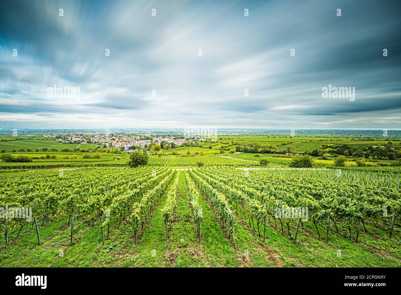 Deidesheim hi-res stock photography and images - Alamy