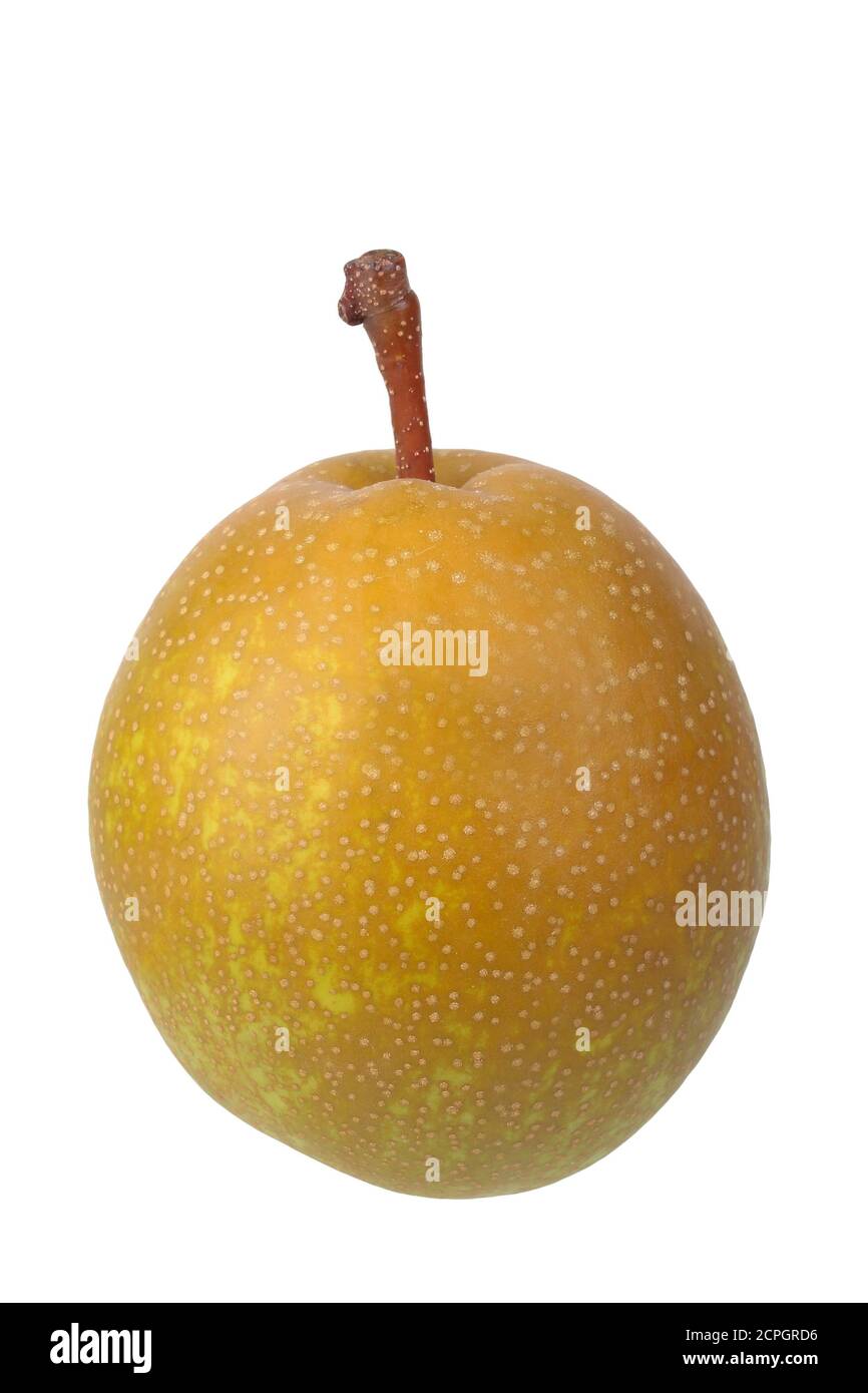 Benita pear hi-res stock photography and images - Alamy
