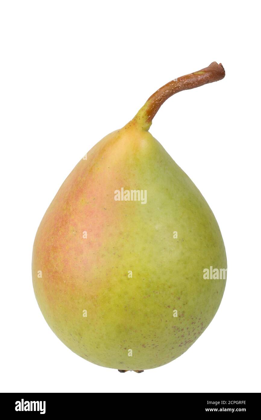 Coscia hi-res stock photography and images - Alamy