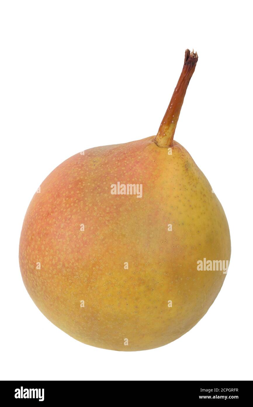 Cowfoot pear hi-res stock photography and images - Alamy