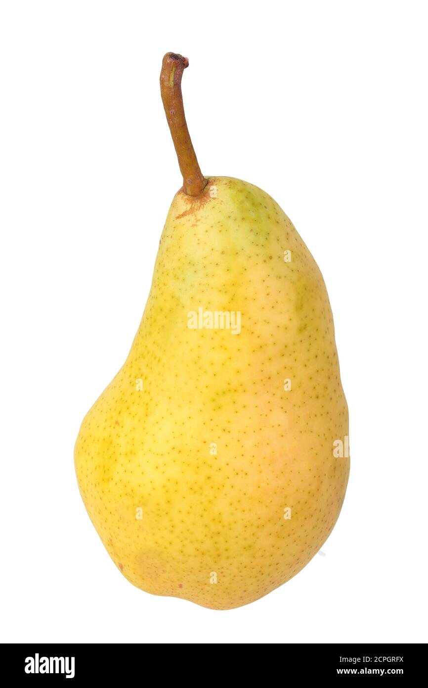 Dr jule guyot pear hi-res stock photography and images - Alamy