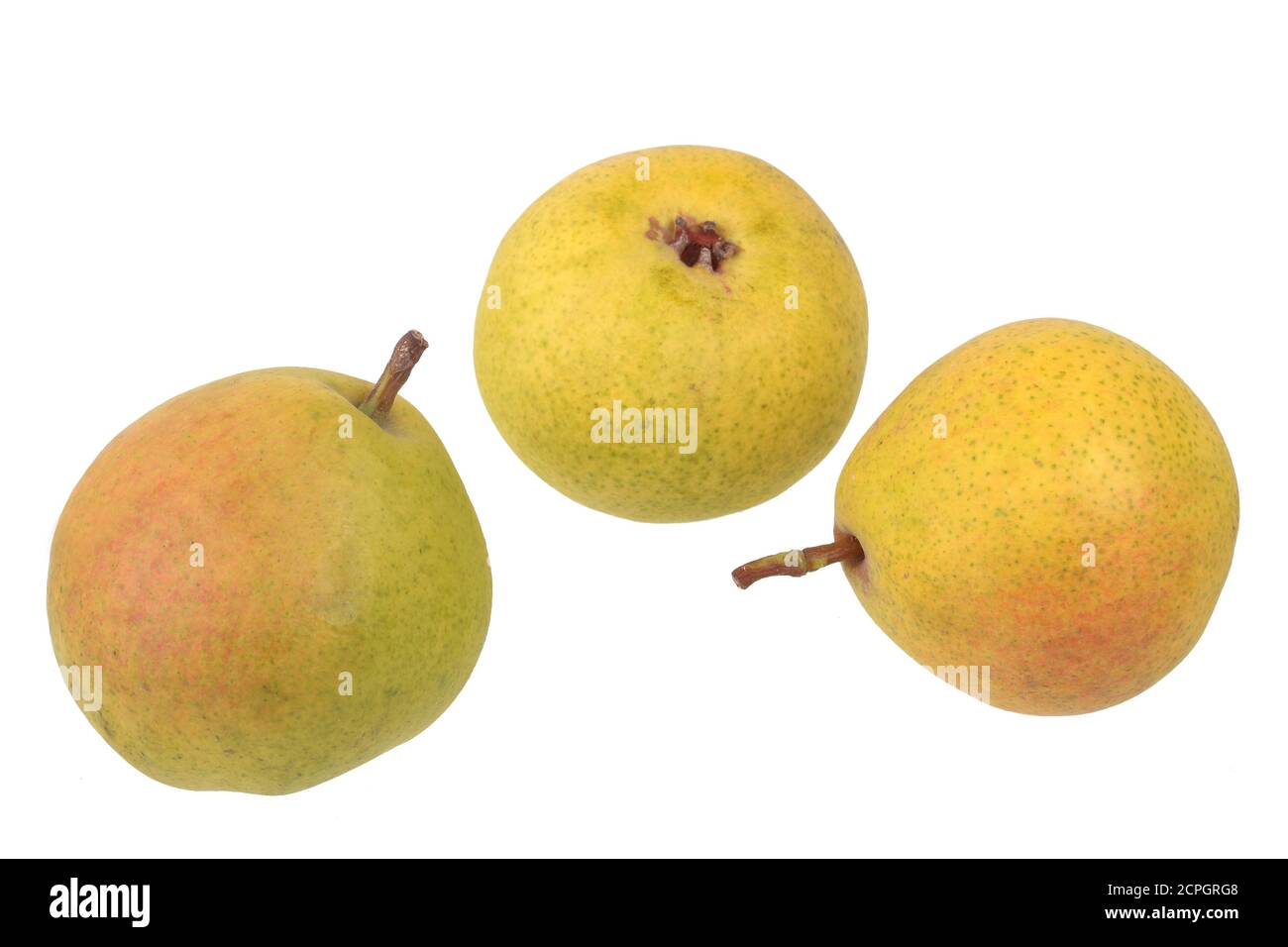 Three pears, pear variety German national bergamot, Freisteller ...