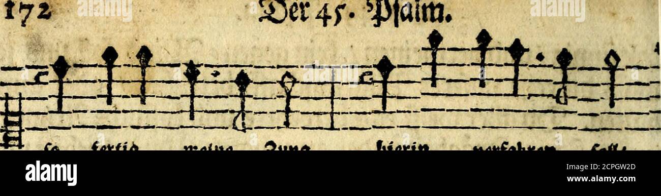 6 saiten hi-res stock photography and images - Alamy