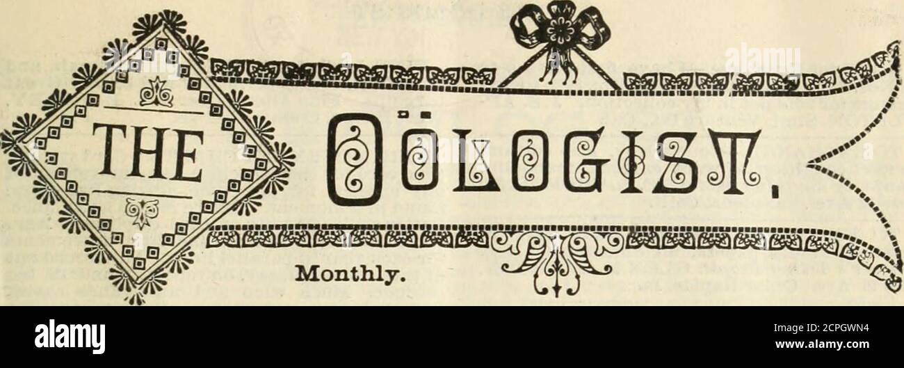 Python skull hi-res stock photography and images - Alamy