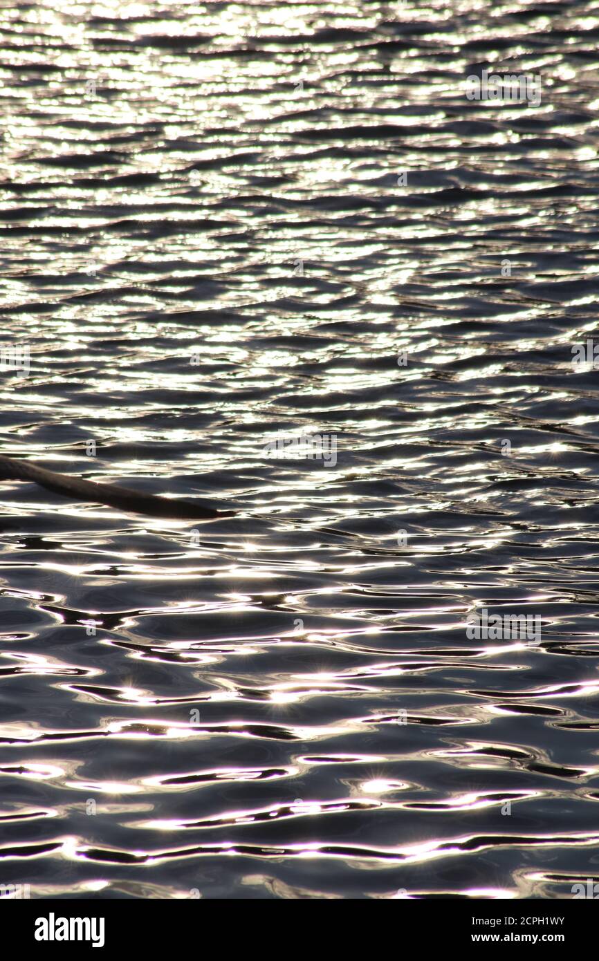 Reflections in water Stock Photo - Alamy