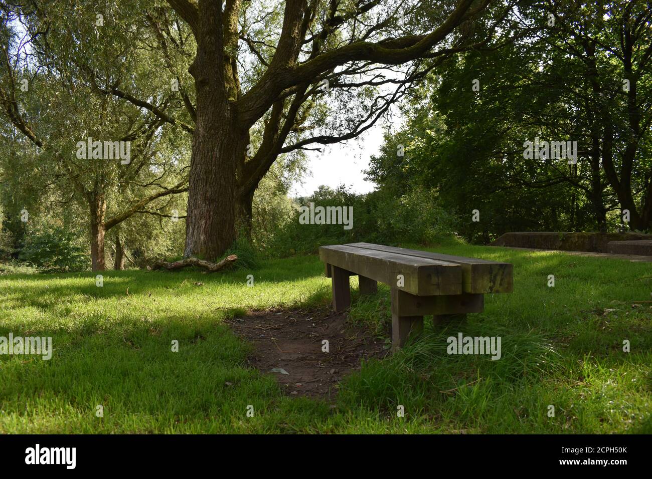 Wooden Bench in Daisy Nook Country Park, Manchester Stock Photo - Alamy