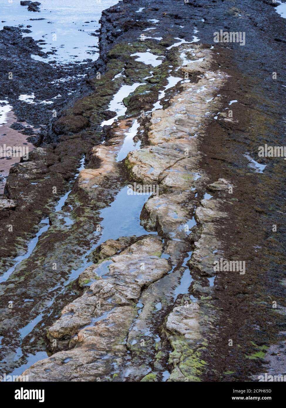 Rock Pools at Castle Sands Beach, St Andrews, Fife, Scotland, UK, GB ...