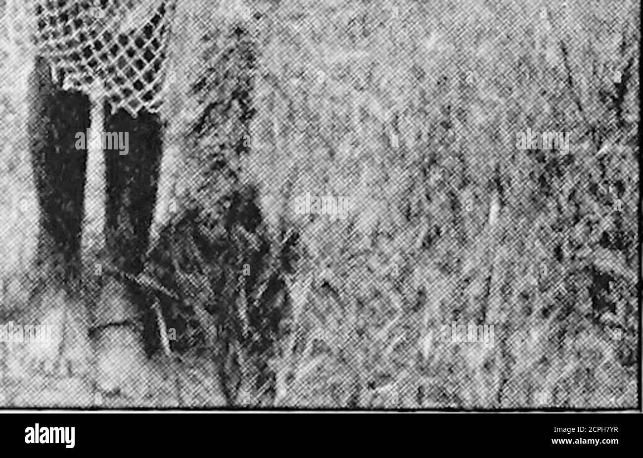 Kuru tribe hi-res stock photography and images - Alamy