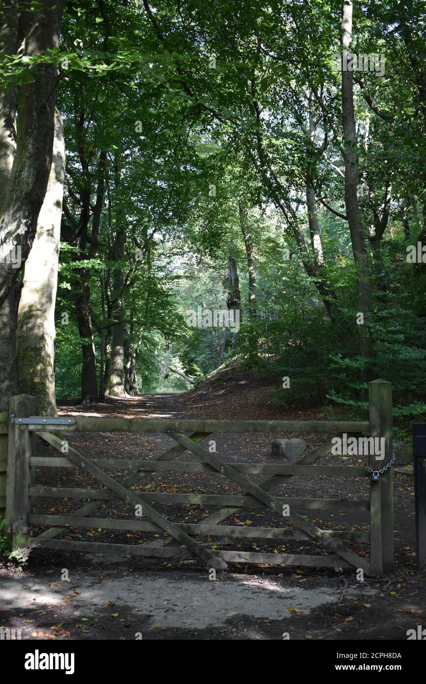 Fence and Forest at Daisy Nook Country Park, Manchester Stock Photo - Alamy